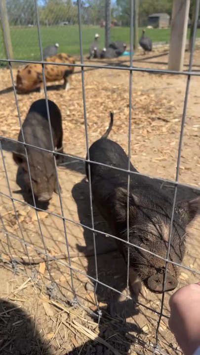 ATLANTIC FARM MARKET - Updated January 2026 - 12 Photos - 1506 Atlantic ...