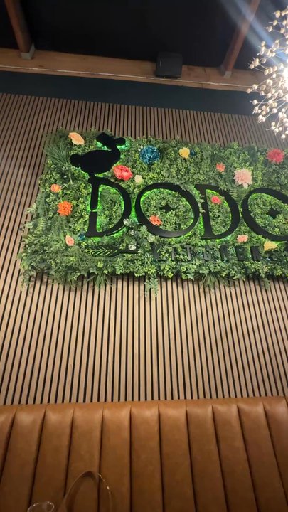 DODO BIRD - Updated June 2025 - 234 Photos & 97 Reviews - 7901 E Thomas ...