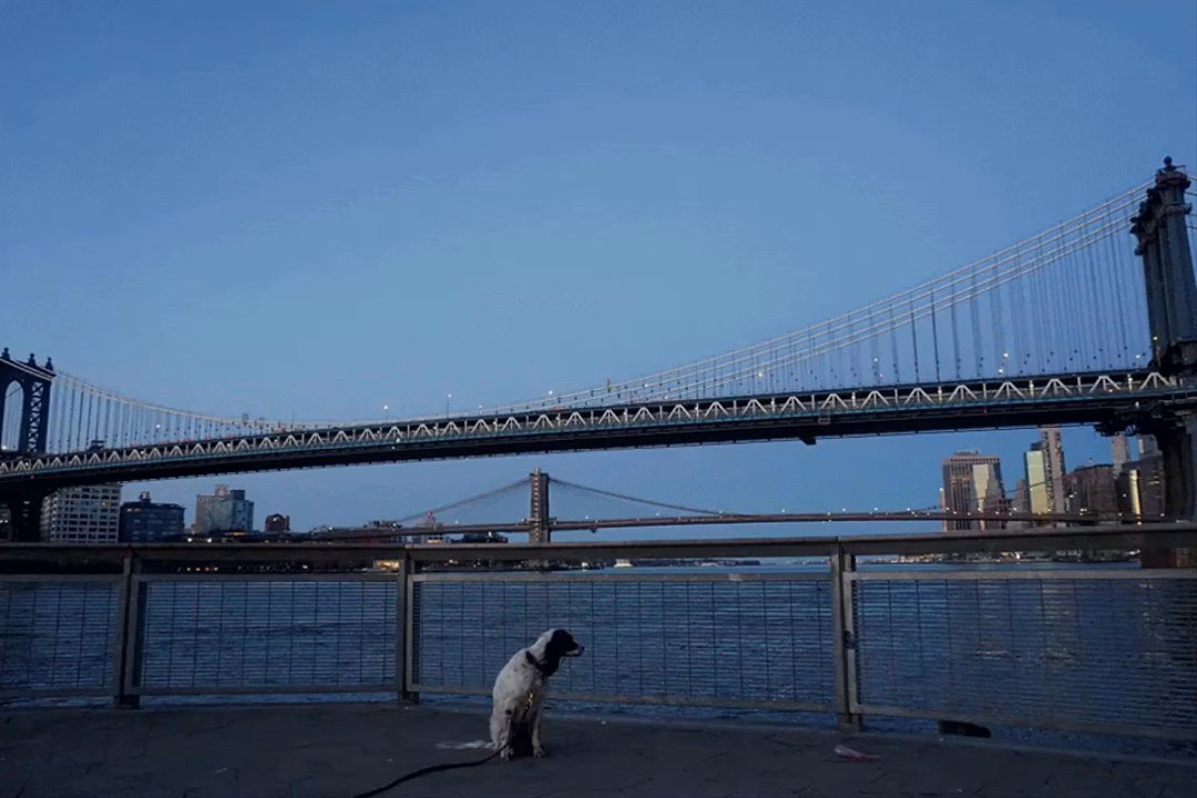 PIER 36 NYC - Updated June 2025 - 136 Photos & 52 Reviews - 299 South ...