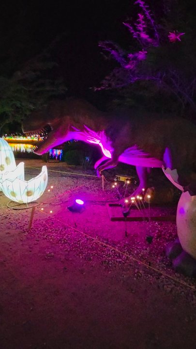 TIANYU LIGHTS FESTIVAL - Updated January 2026 - 309 Photos & 33 ...