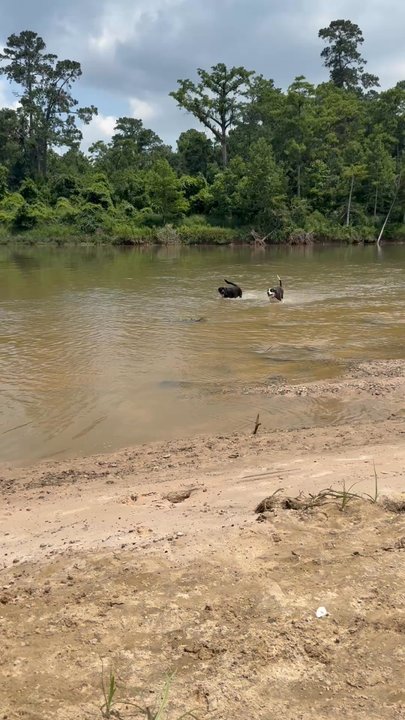 JESSE H JONES PARK & NATURE CENTER - Updated June 2026 - 180 Photos ...