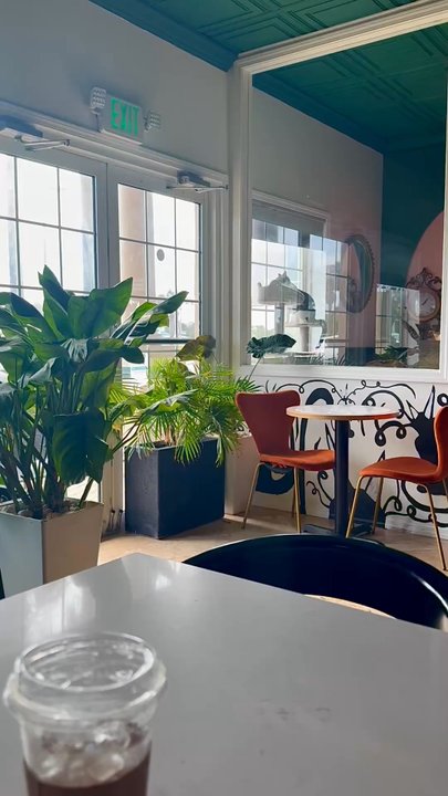 CARA’S CAT CAFE - Updated March 2026 - 74 Photos & 10 Reviews - 4507 ...