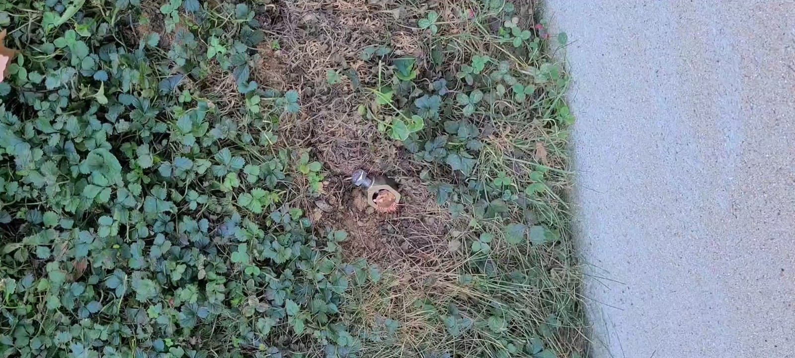 TOM DREXLER - Updated May 2025 - 58 Photos & 209 Reviews - 3718 ...