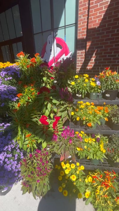 DECICCO & SONS - SLEEPY HOLLOW - Updated January 2026 - 151 Photos & 27 ...