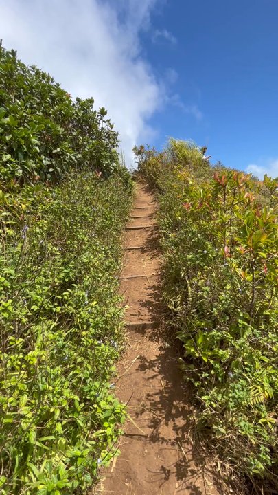 KULIOUOU RIDGE TRAIL - Updated July 2025 - 1753 Photos & 406 Reviews ...