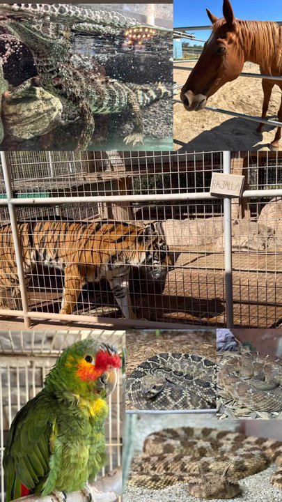 FOREVER WILD EXOTIC ANIMAL SANCTUARY - Updated July 2025 - 589 Photos ...