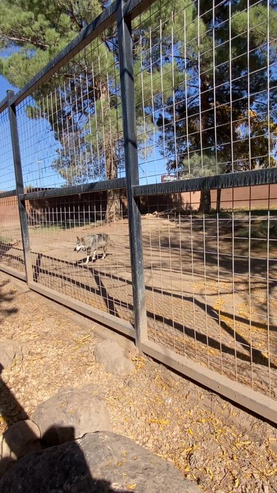 ALAMEDA PARK ZOO - Updated May 2026 - 164 Photos & 54 Reviews - 1021 N ...