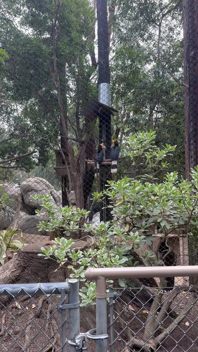 LOS ANGELES ZOO AND BOTANICAL GARDEN - Updated August 2025 - 7917 Photos & 2050 Reviews - 5333 ...