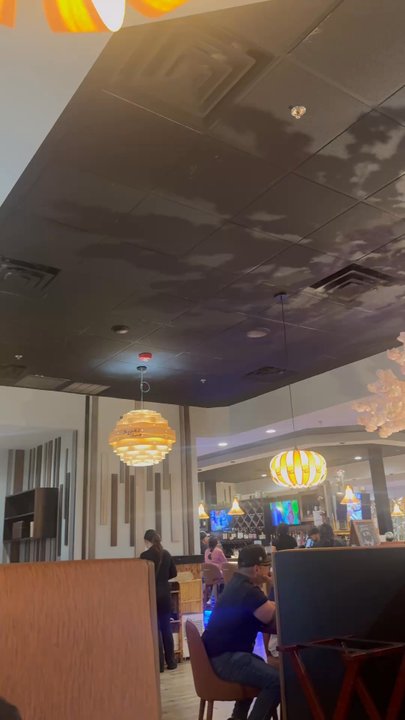SUSHI MASA SPRING - Updated June 2026 - 799 Photos & 303 Reviews - 355 ...