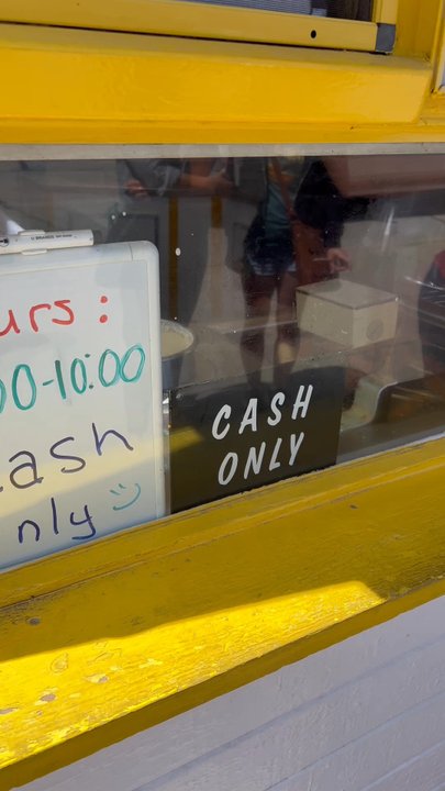 PRONTO PUPS - Updated October 2025 - 254 Photos & 209 Reviews - 313 S ...