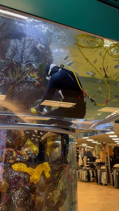 SCHEELS - Updated March 2025 - 806 Photos & 133 Reviews - 3199 W ...