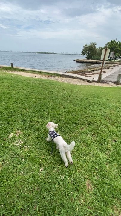 MORNINGSIDE PARK - Updated August 2025 - 201 Photos & 44 Reviews - 750 ...