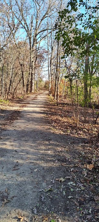MEACHAM GROVE FOREST PRESERVE - Updated April 2026 - 58 Photos & 15 ...