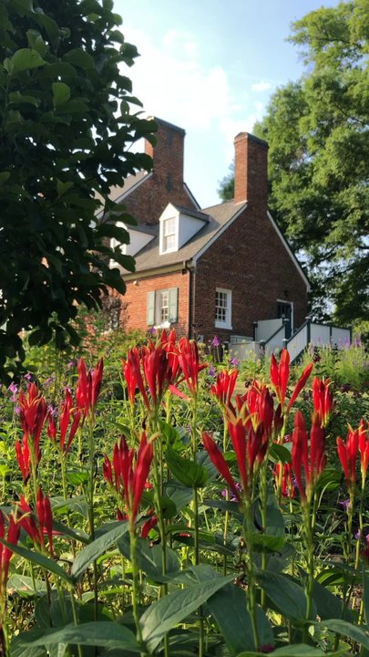 GREEN SPRING GARDENS - Updated May 2025 - 687 Photos & 71 Reviews ...