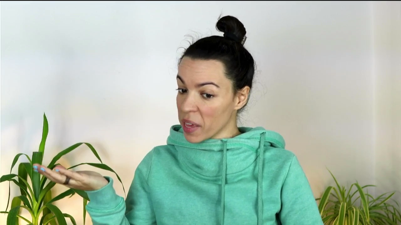 Streams Video • Chatterbug