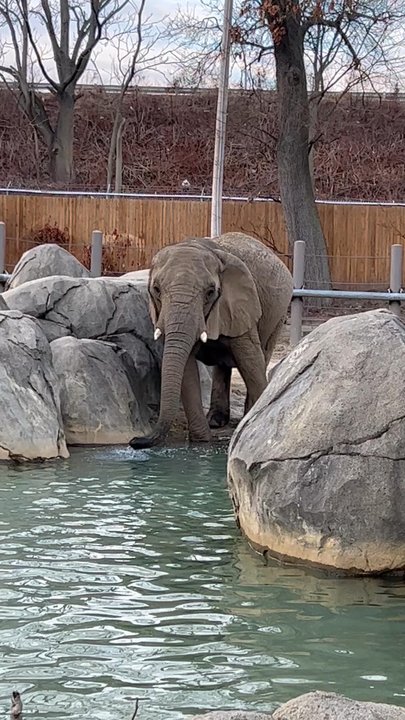 ROGER WILLIAMS PARK ZOO - Updated October 2025 - 1377 Photos & 313 ...