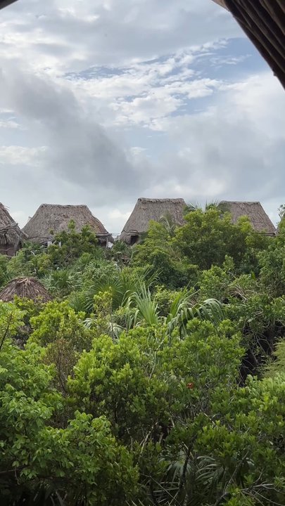 KIN TOH - Updated April 2025 - 852 Photos & 287 Reviews - Carretera ...