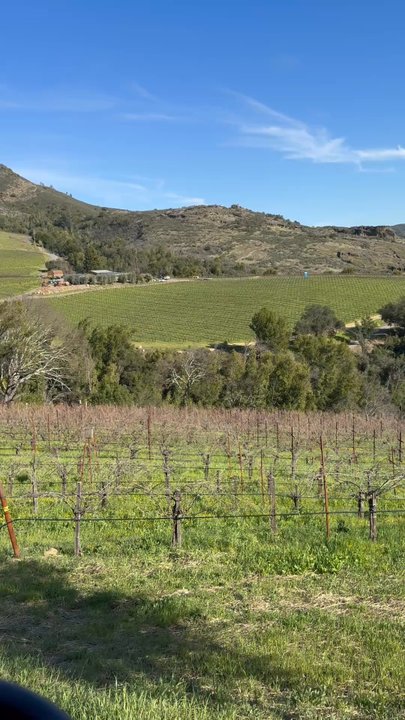 REPRIS WINES - Updated December 2025 - 193 Photos & 89 Reviews - 1700 ...