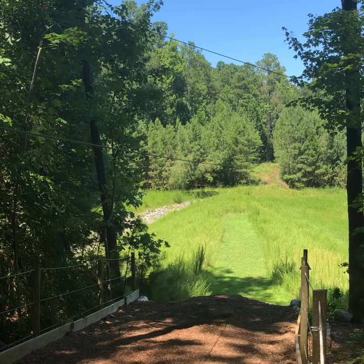 GO APE ZIPLINE & ADVENTURE PARK - Updated December 2025 - 127 Photos ...