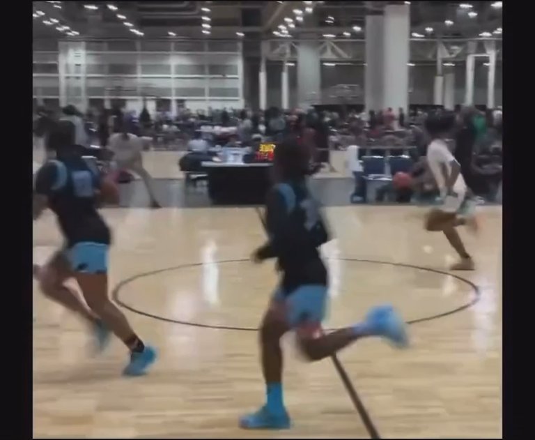 Journee Johnson's Basketball Recruiting Profile | FieldLevel