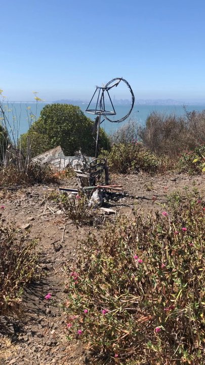 ALBANY BULB - Updated January 2025 - 984 Photos & 244 Reviews - 1 ...