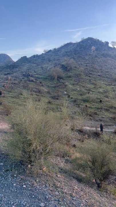 DREAMY DRAW RECREATION AREA - Updated January 2026 - 295 Photos & 80 ...