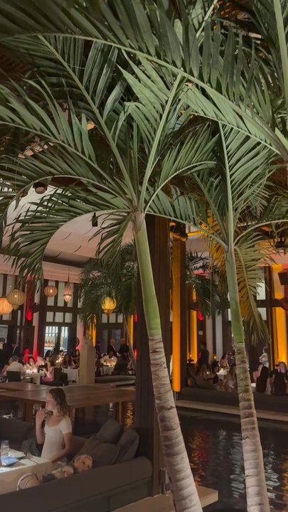 JAYA AT THE SETAI - Updated January 2026 - 2252 Photos & 811 Reviews ...