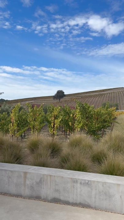 BOOKER VINEYARD - Updated March 2026 - 380 Photos & 216 Reviews - 2644 ...