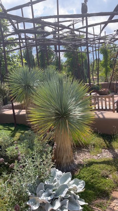 SANTA FE BOTANICAL GARDEN - Updated May 2025 - 210 Photos & 41 Reviews ...