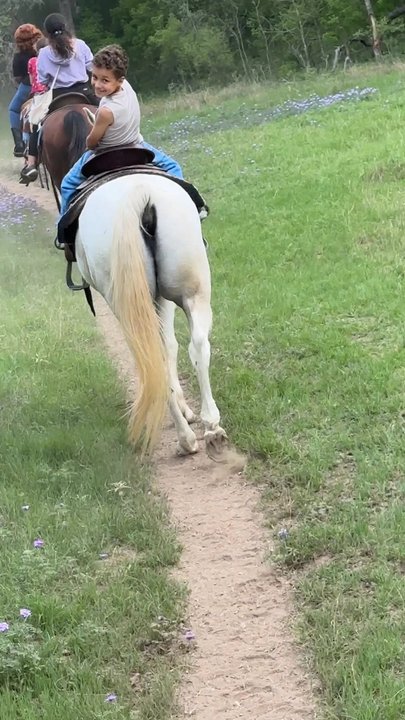 WESTCREEK TRAIL RIDES - Updated December 2025 - 109 Photos & 100 ...