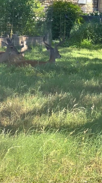 DOUBLE J RANCH GOLF CLUB - Updated June 2025 - 35 Reviews - 1 Pro Ln ...