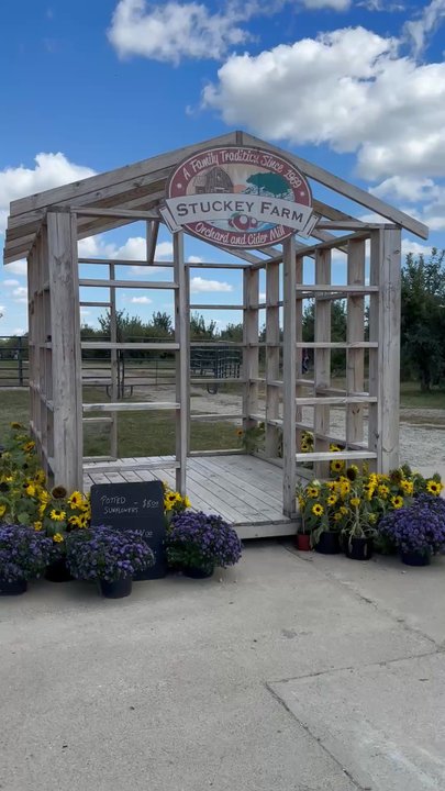 STUCKEY FARM ORCHARD AND CIDER MILL - Updated December 2025 - 195 ...