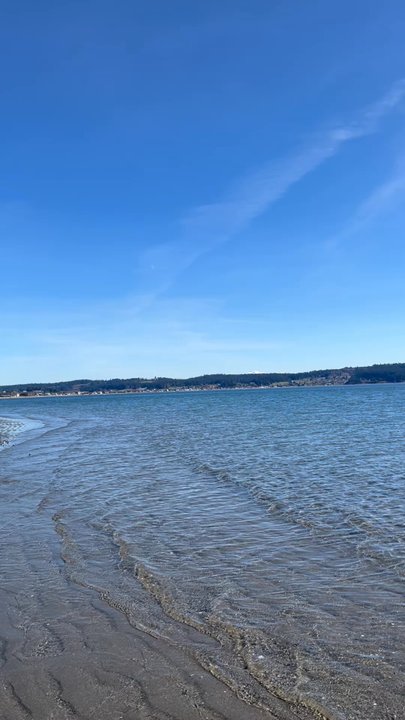 DOUBLE BLUFF BEACH - Updated May 2026 - 183 Photos & 75 Reviews - 6374 ...