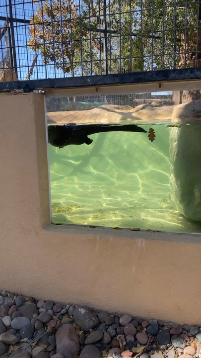 ALAMEDA PARK ZOO - Updated May 2026 - 164 Photos & 54 Reviews - 1021 N ...