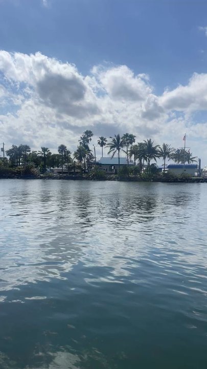 TAVERNA OPA - Updated February 2025 - 1064 Photos & 865 Reviews - 410 N ...