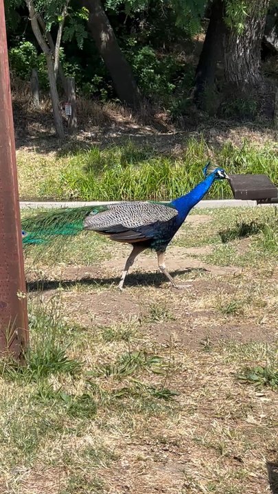 LAKE SOLANO COUNTY PARK AND CAMPGROUND - Updated October 2025 - 142 ...