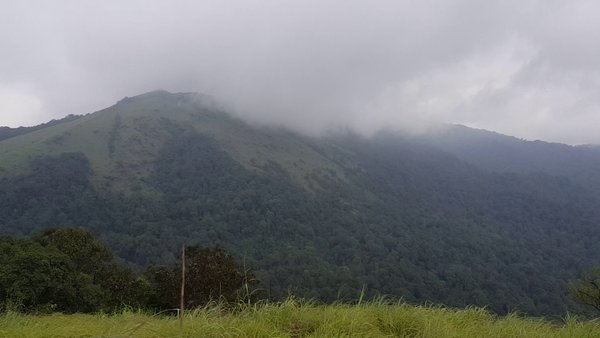 Mini Ooty in Malappuram: A Hidden Gem of Kerala That Will Take Your ...