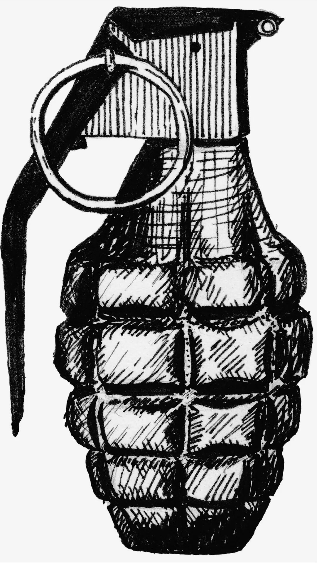 Whatnot - Old Paper, Postcards, Photos, Stereoviews, Books, Ephemera ...