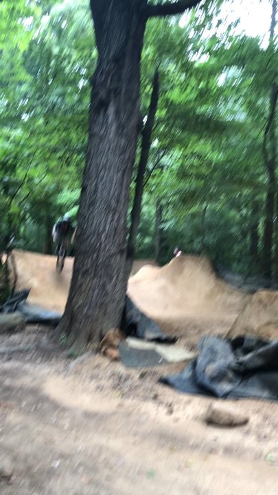 CUNNINGHAM PARK - Updated December 2025 - 169 Photos & 80 Reviews - 196 ...