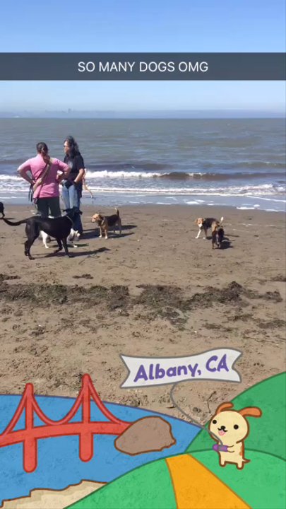 ALBANY BULB - Updated January 2025 - 984 Photos & Average of 4.5 Stars ...