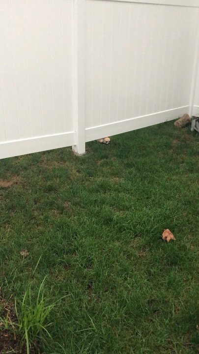 JAN FENCE - Updated May 2026 - 19 Photos & 45 Reviews - 1107 Route 23 ...