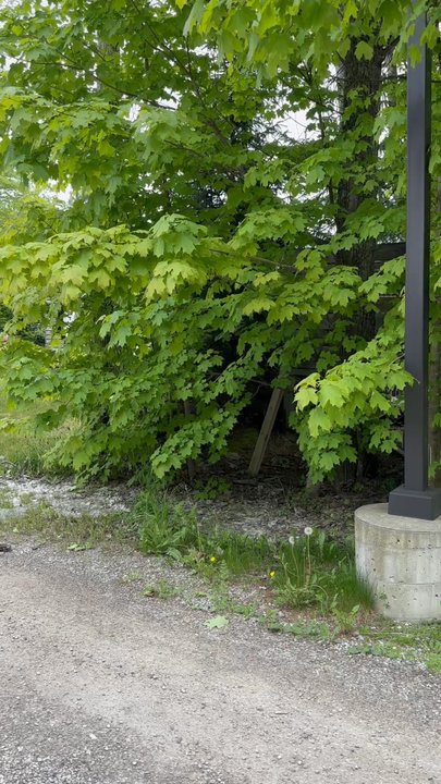 HOP LOT BREWING - Updated June 2025 - 537 Photos & 462 Reviews - 658 S ...