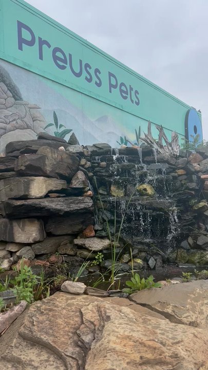 PREUSS PETS - Updated December 2025 - 97 Photos & 92 Reviews - 1127 N ...