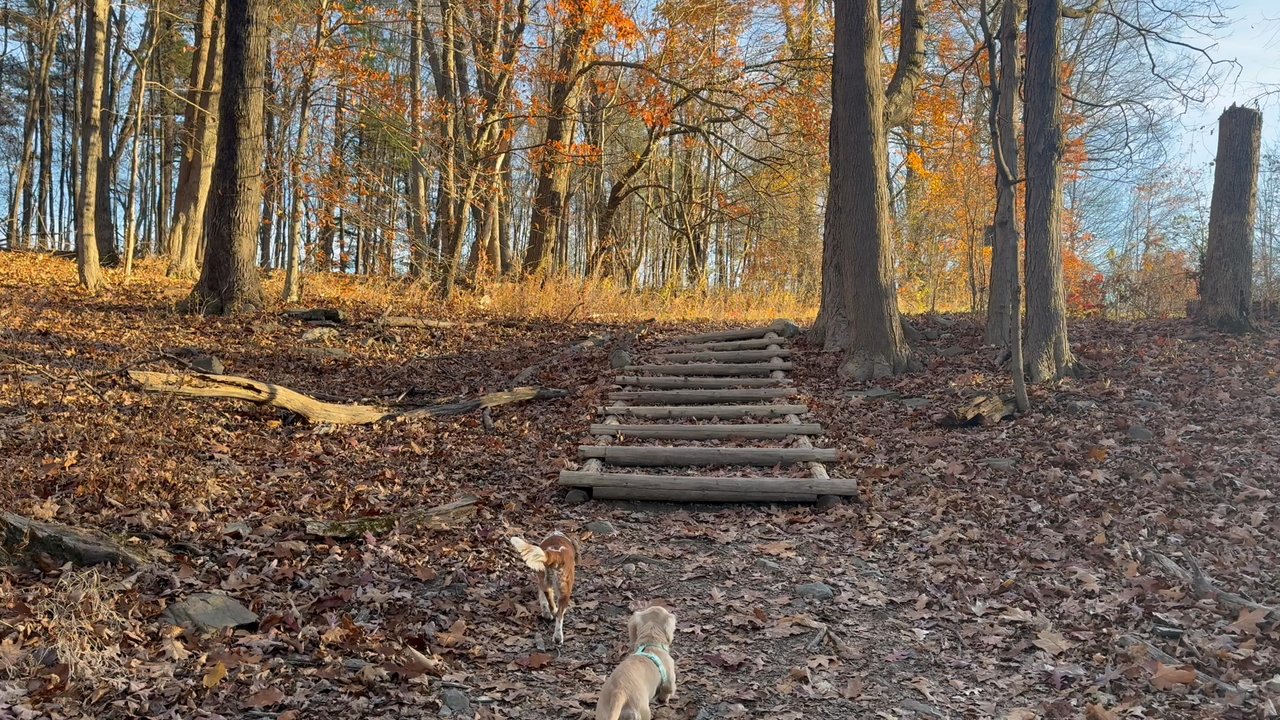 POET’S WALK PARK - Updated April 2026 - 94 Photos & 21 Reviews - 776 ...