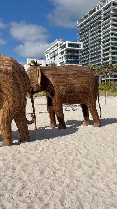 THE GREAT ELEPHANT MIGRATION - Updated March 2026 - 143 Photos & 11 ...