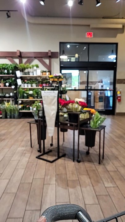 THE FRESH MARKET - Updated May 2026 - 45 Photos & 53 Reviews - 1635 ...