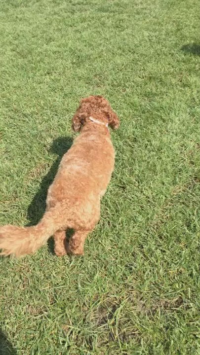 BEARDMORE CHEVROLET - Updated August 2025 - 24 Photos - 418 Fort Crook ...