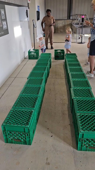 TIMBERVIEW FARMSTEAD - Updated December 2025 - 71 Photos - 4274 ...