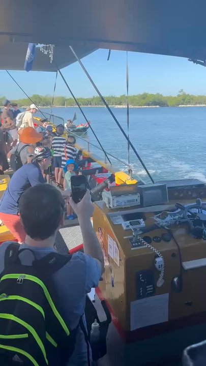 BLUEFOOT PIRATE ADVENTURES - Updated January 2026 - 389 Photos & 361 ...