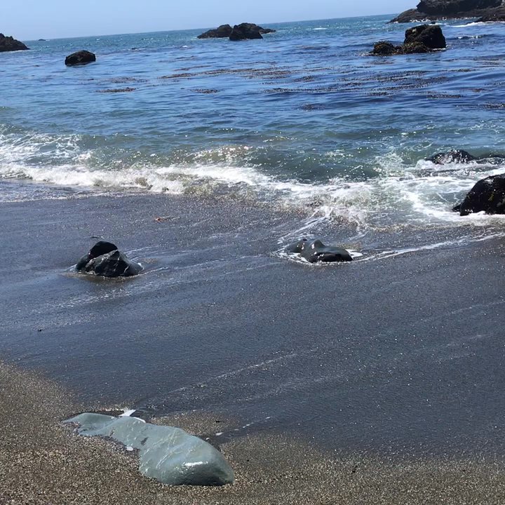 SHELL BEACH - Updated October 2025 - 75 Photos - 3095 Coast Hwy, Bodega ...